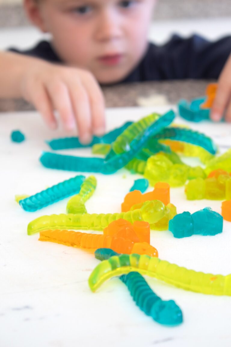 Homemade Gummy Snacks - GigglingFork.com